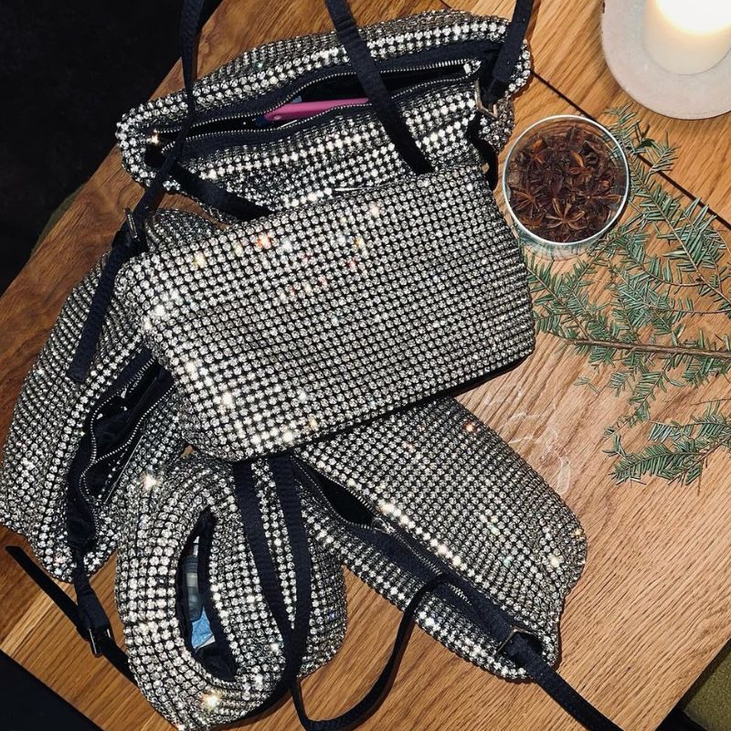 A Crystal Bag Is All I Want to Carry This Season | Who What Wear