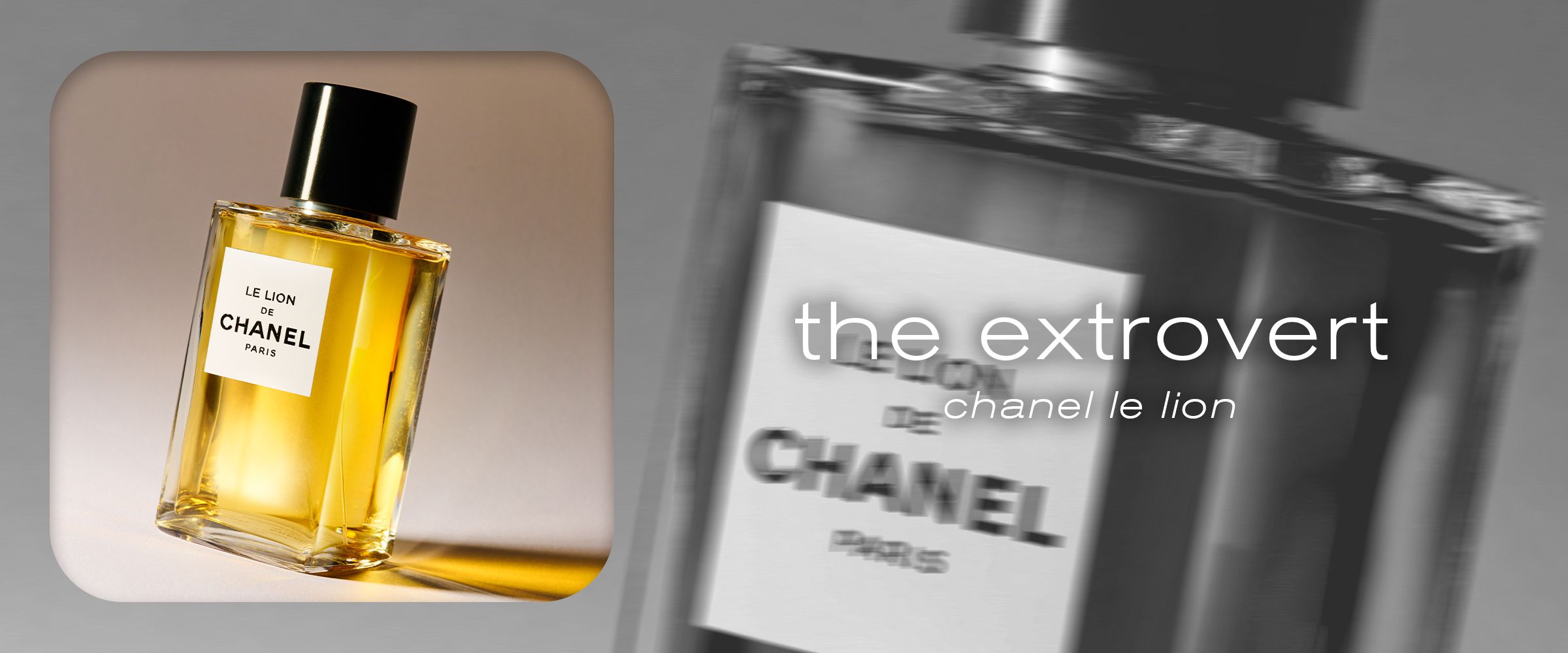 The Best Signature Perfumes, According to Beauty Editors | Who What Wear