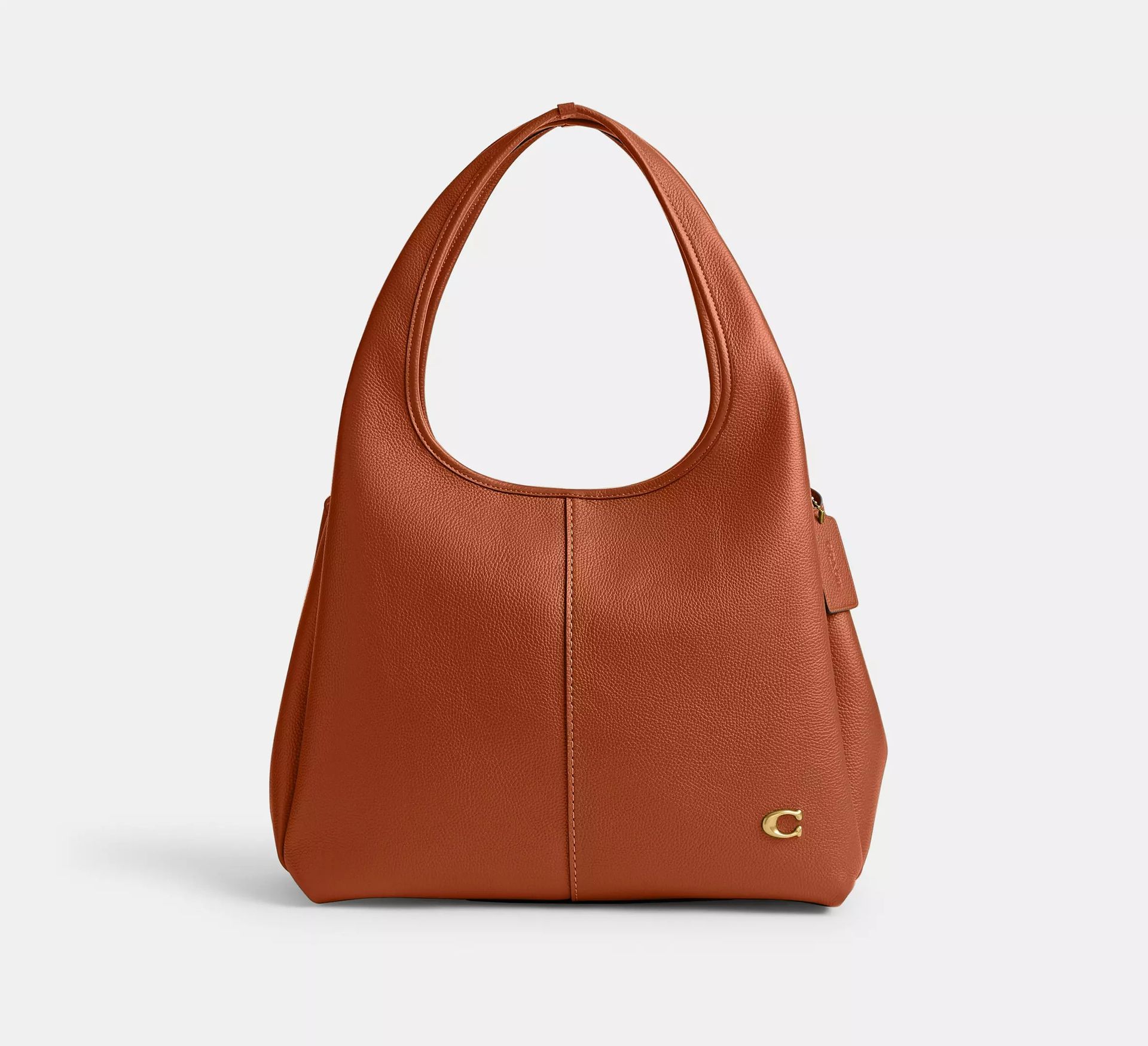 These Are the 9 Best Coach Bags to Know for 2024 | Who What Wear