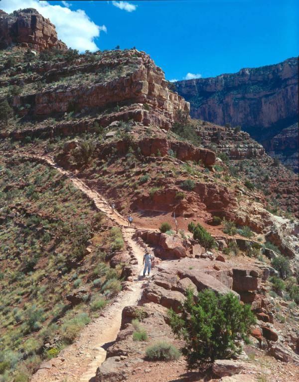 7 Amazing Grand Canyon Facts|National Parks | Live Science