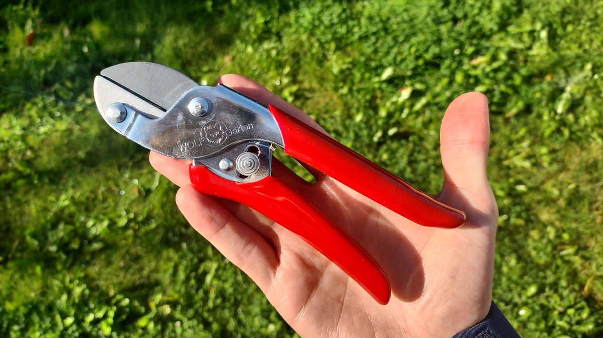 Wolf-Garten Anvil Pruner RSEN review | Top Ten Reviews