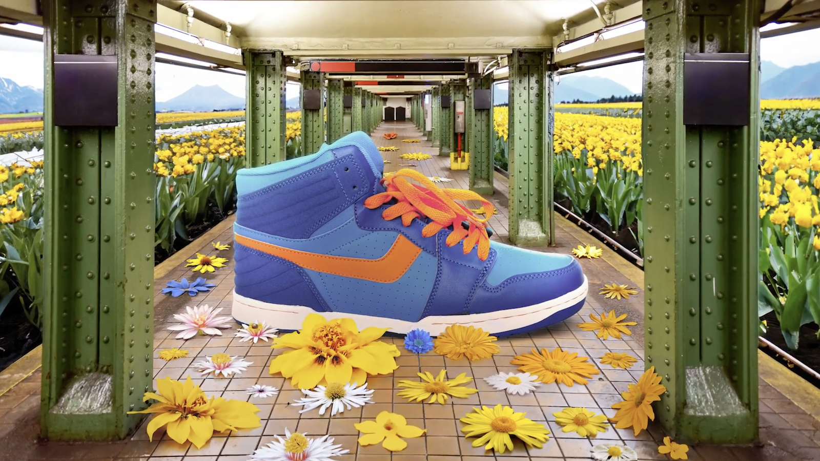 Photoshop just got another huge upgrade thanks to enhanced Firefly AI ...