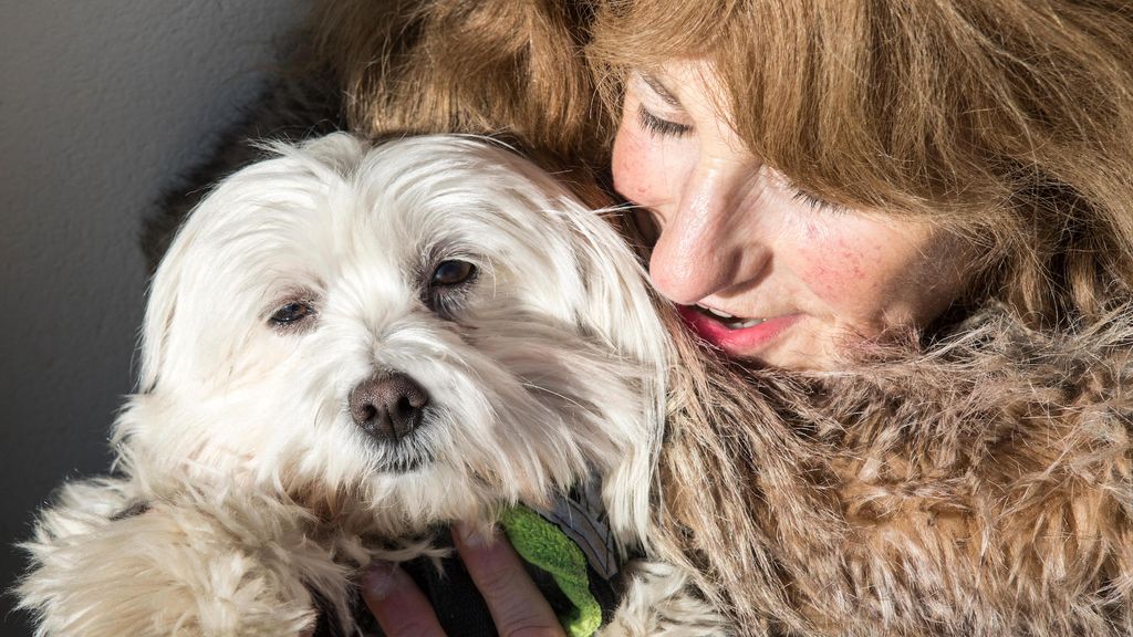 20 most loyal dog breeds revealed | PetsRadar