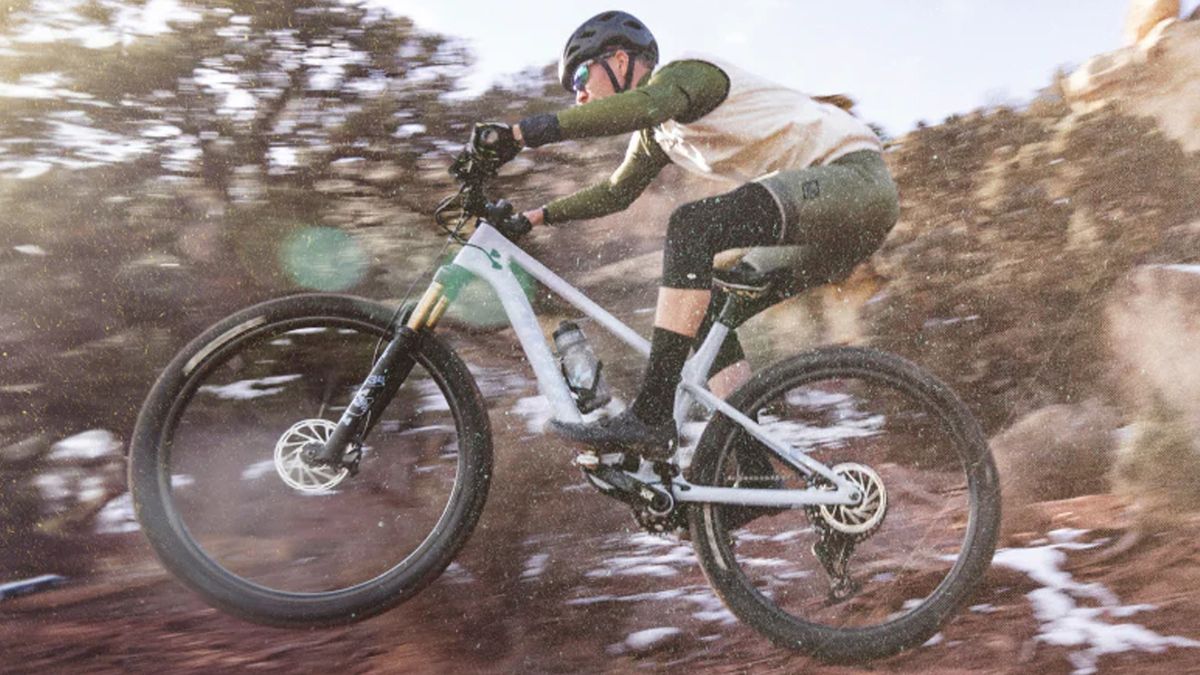 Forge+Bond release a more budget-friendly version of its greener ...