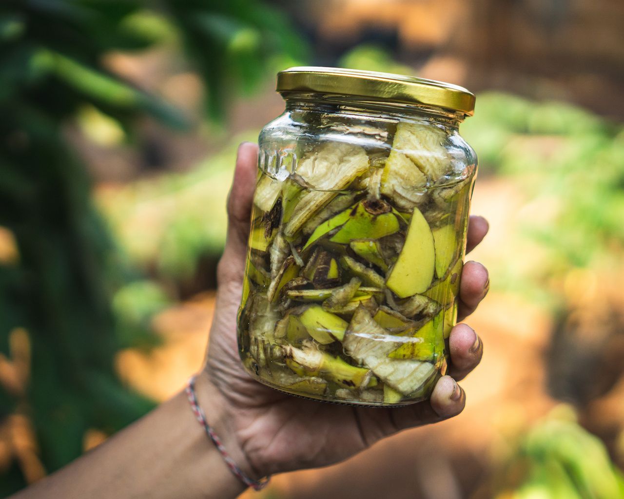 DIY Liquid Fertilizer For Plants – 5 Powerful Tonics To Make ...