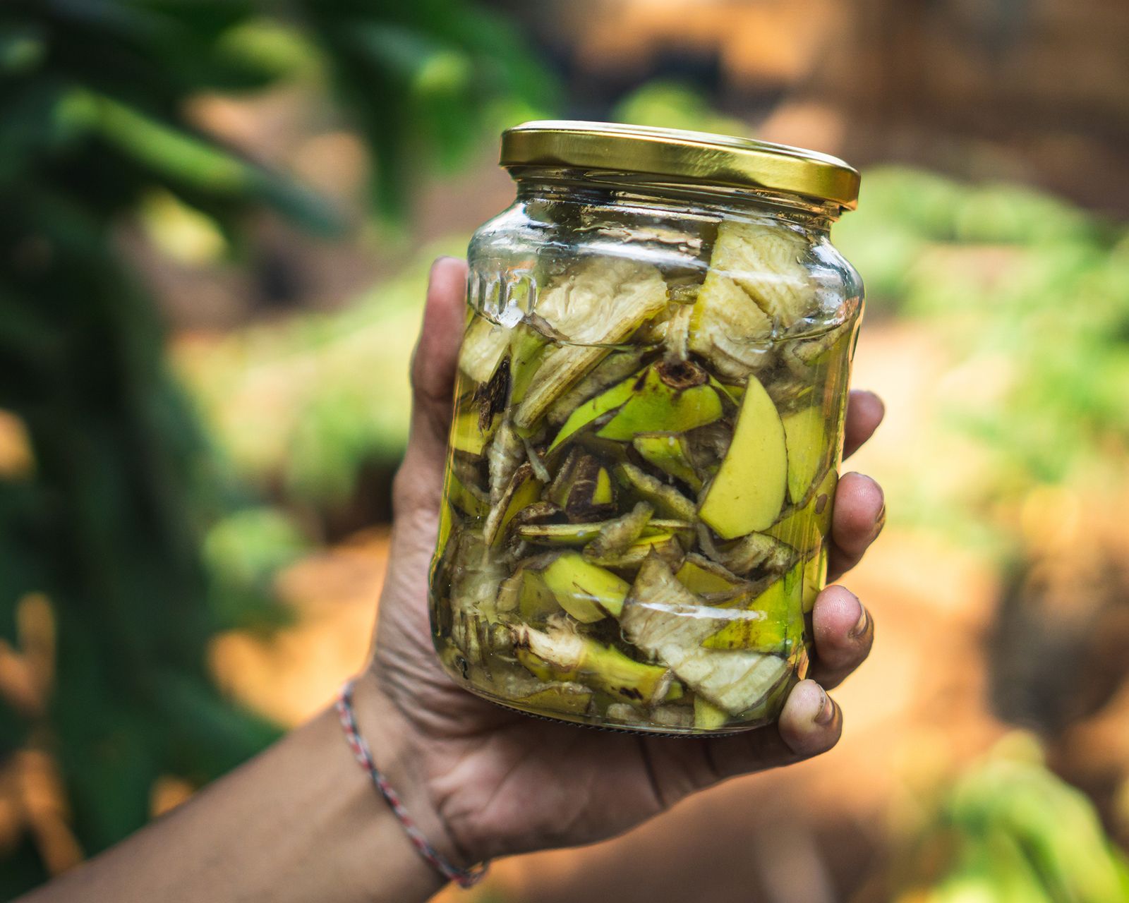 DIY Liquid Fertilizer For Plants – 5 Powerful Tonics To Make ...
