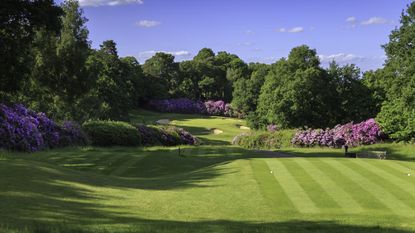Market Rasen Golf Club Course Review | Golf Monthly