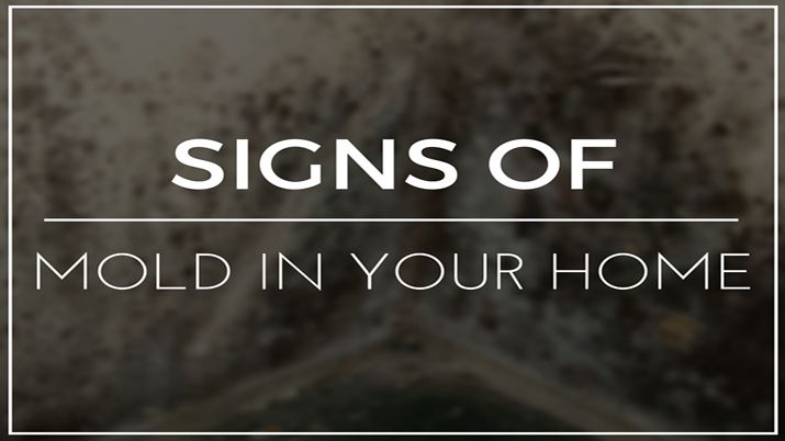 Signs Your House has Mold | Top Ten Reviews