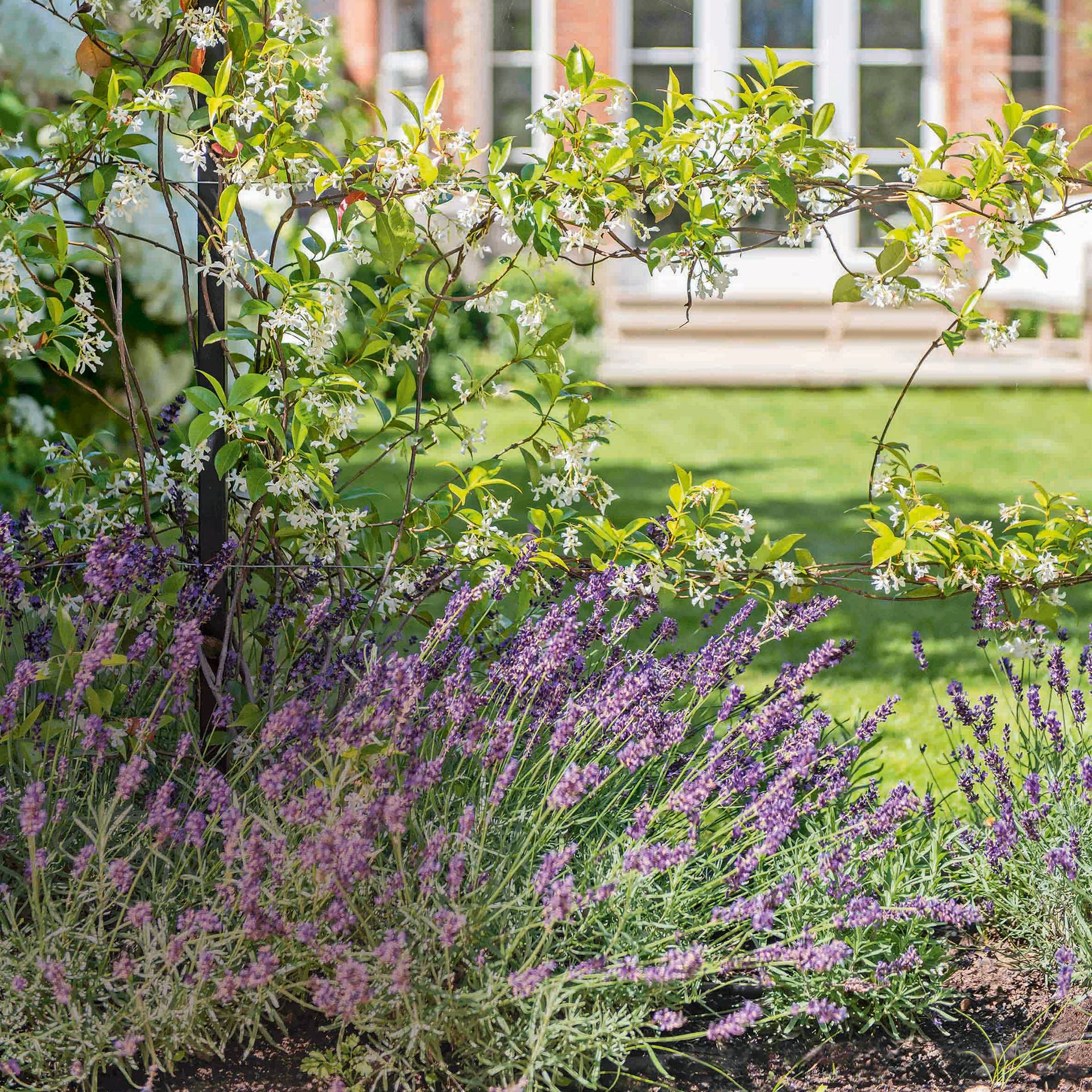 This scruffy garden was transformed into a social sanctuary | Ideal Home