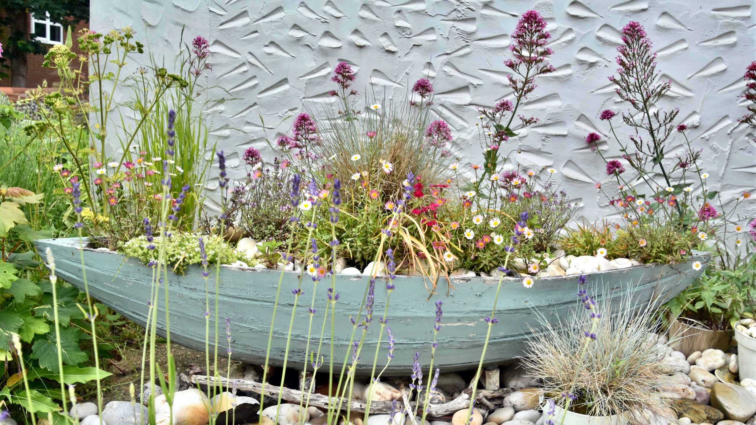 How to grow a mini meadow - the steps you need to take | Ideal Home