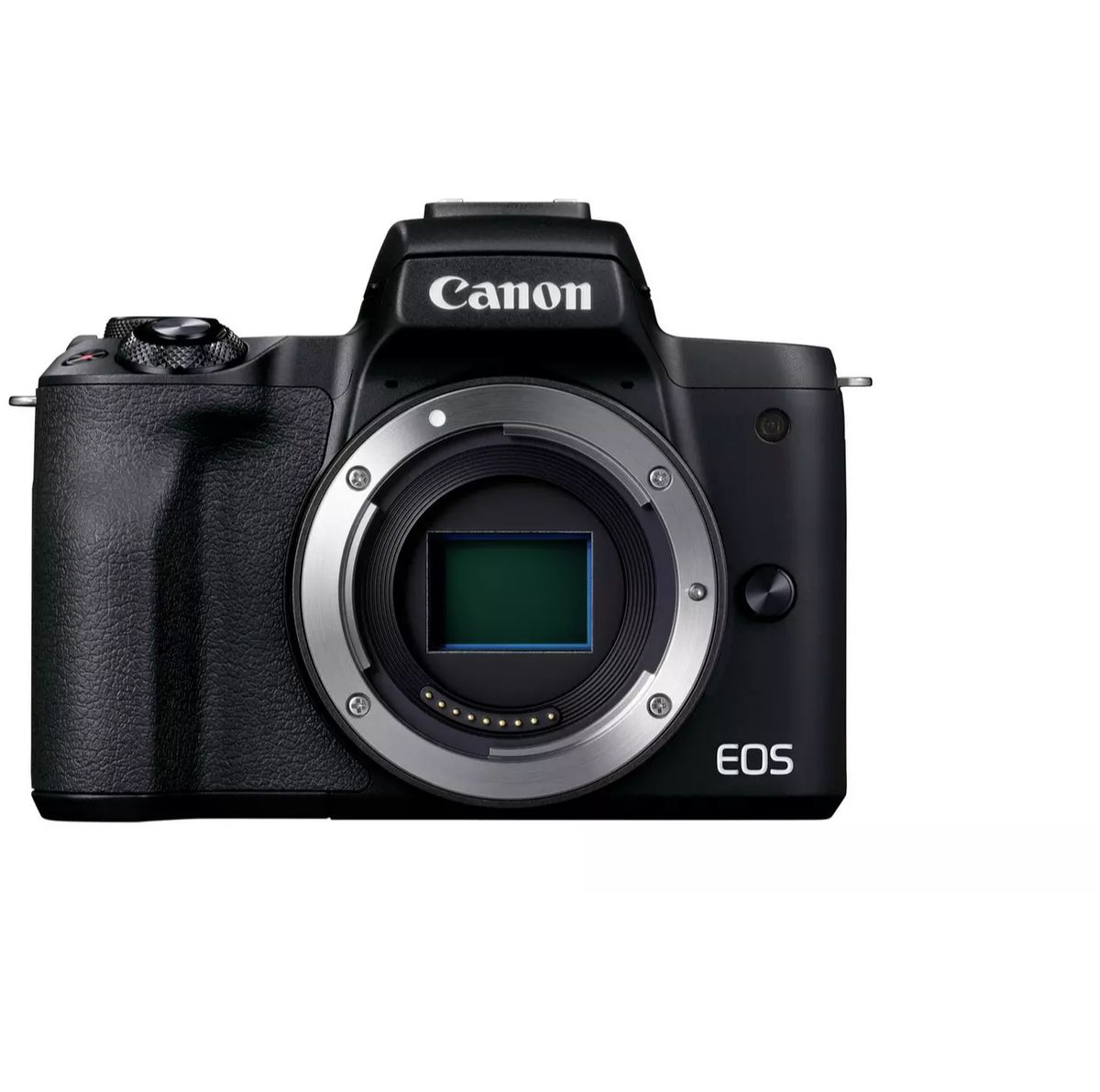 The best Canon camera in 2023 | Digital Camera World