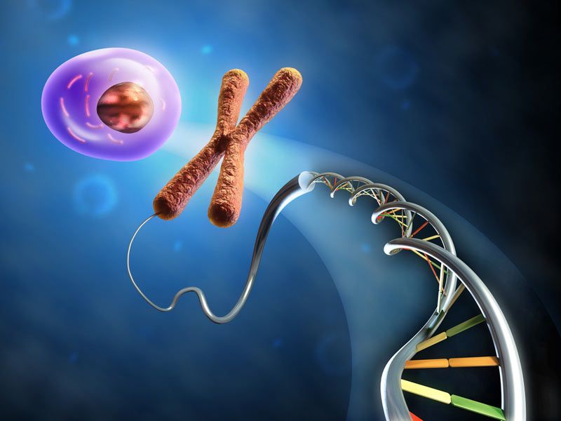 Unraveling the Human Genome: 6 Molecular Milestones | Live Science