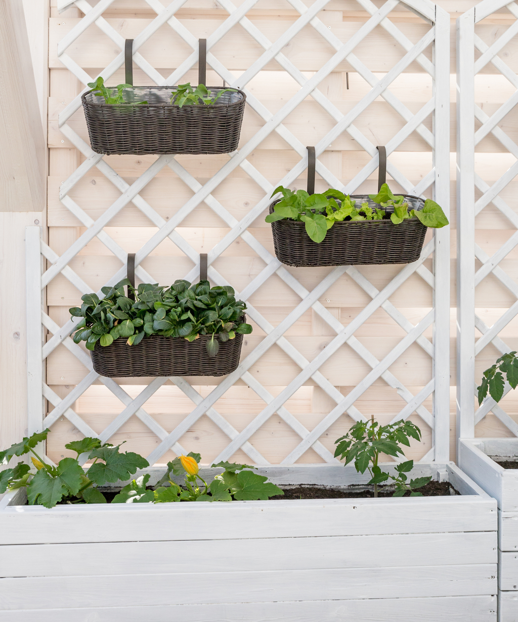 5 tips for lasagna gardening in containers: keep yours going beyond one ...