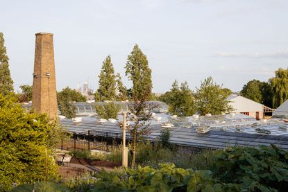 Wolves Lane Centre is a new, green community hub | Wallpaper*