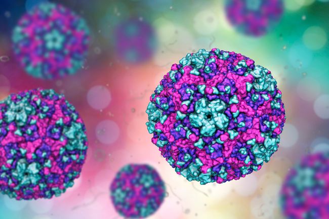 Going Viral: 6 New Findings about Viruses | Live Science