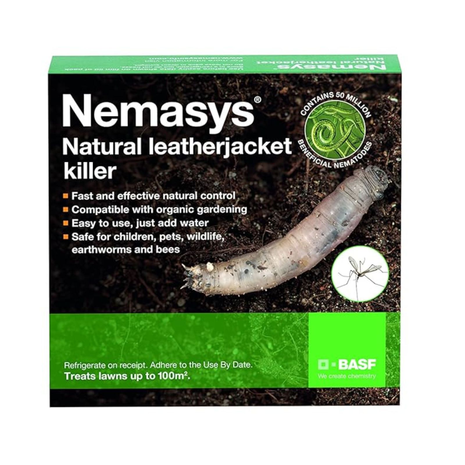 How to get rid of leatherjackets for a healthy lawn | Ideal Home