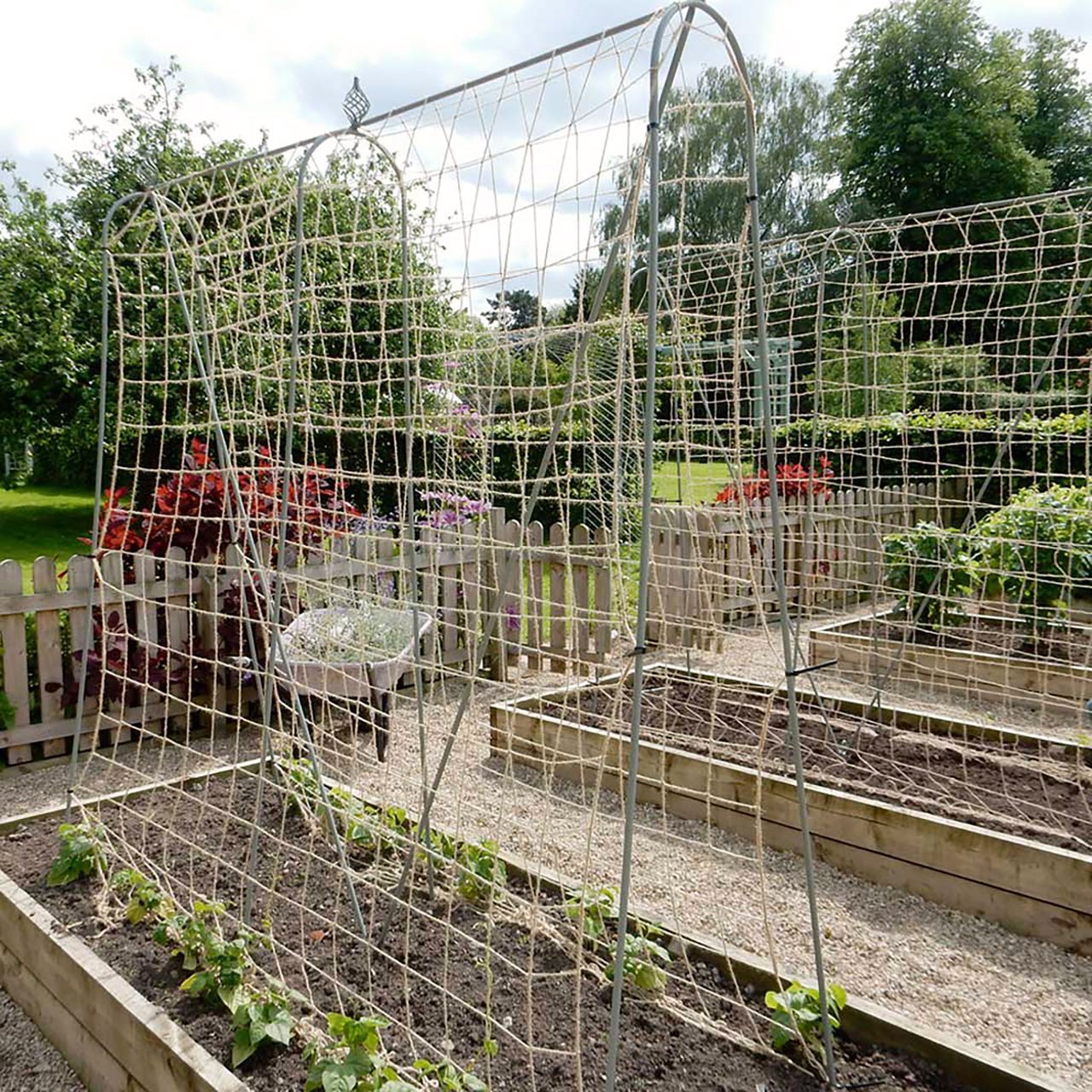 Vegetable garden trellis ideas: 12 ways to max your harvest | Country