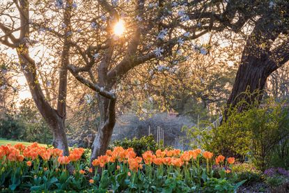 Spring garden ideas: 17 ways to welcome warmer weather | Gardeningetc
