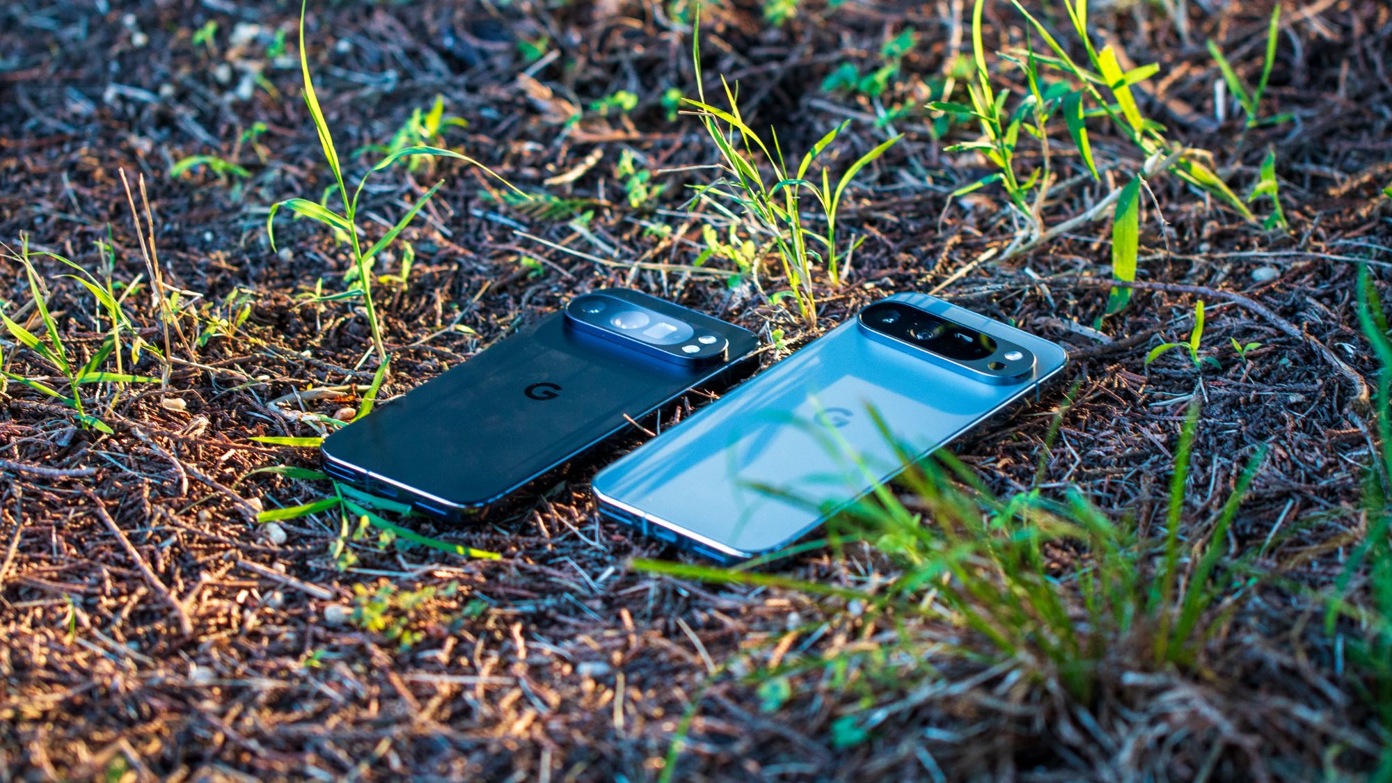 Google's Earth Day 2025 Doodle shows the many sides of our big blue ...