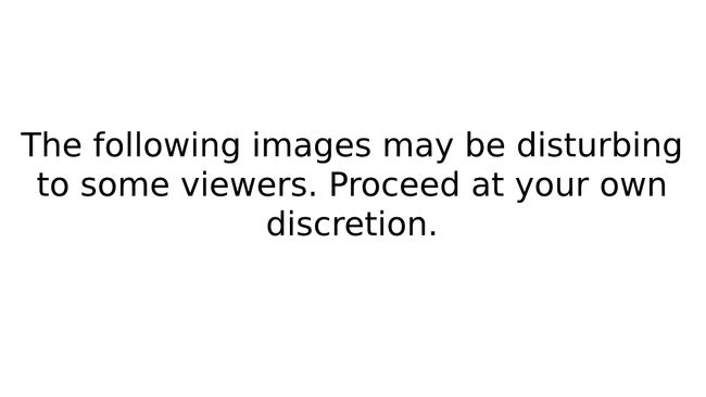 Samsung's new Galaxy Buds 2 Pro have the same old infectious problems ...