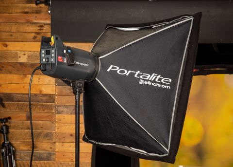 10 tips for superb close-ups: how to shoot macro with studio lighting ...