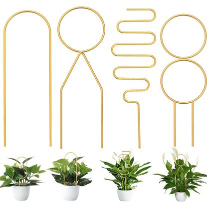 9 Practical plant accessories you never knew you needed | Real Homes