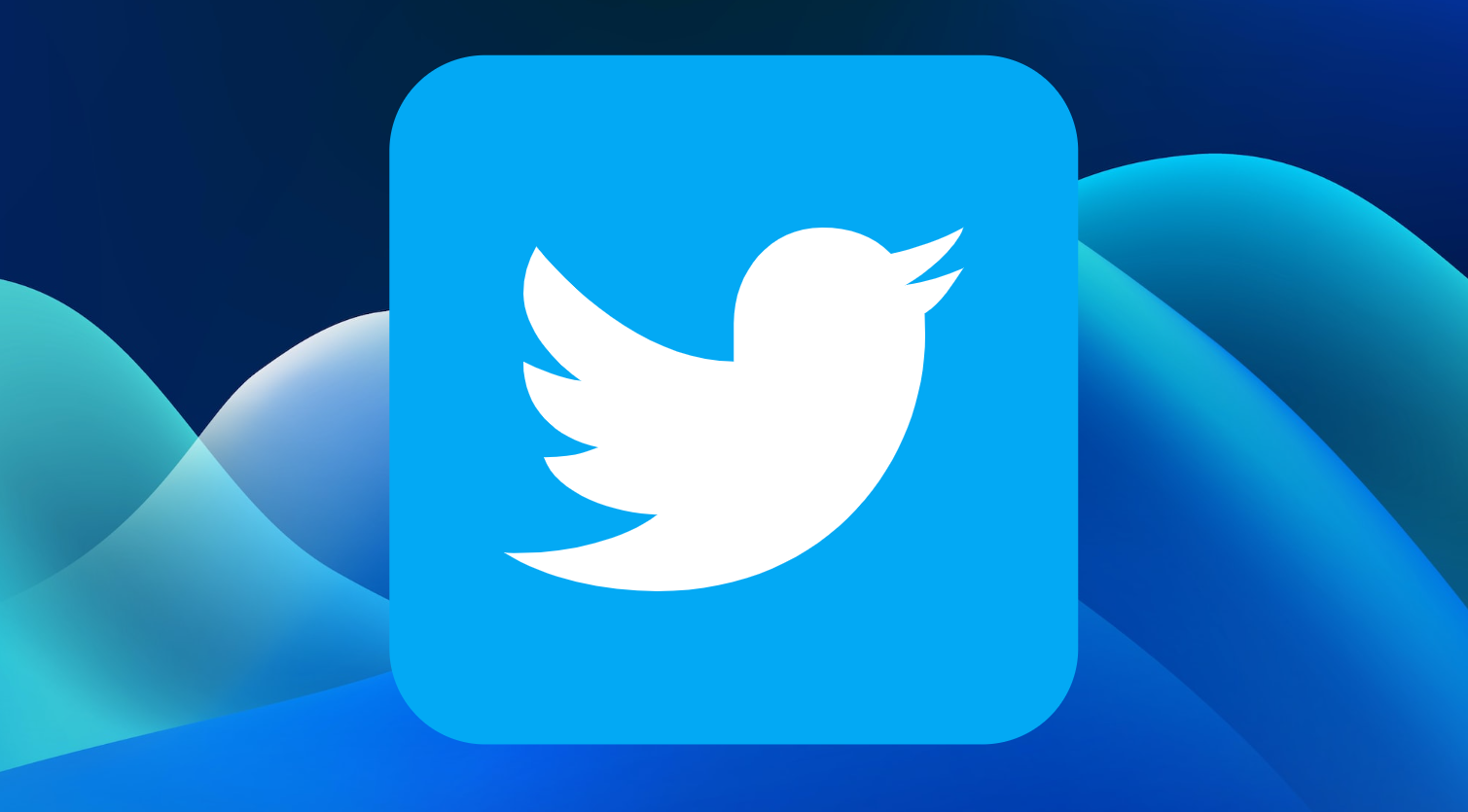 Twitter says it's blameless for data leak of 200M users — why we're ...