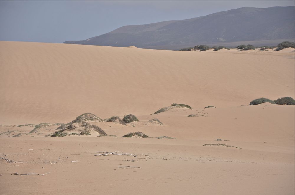 Sand Scenes: California's Shifting Dunes | Live Science