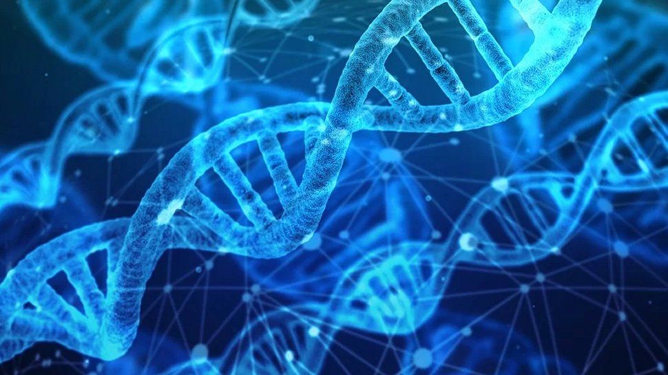 Revolutionary synthetic DNA disk could hold key to future of storage ...