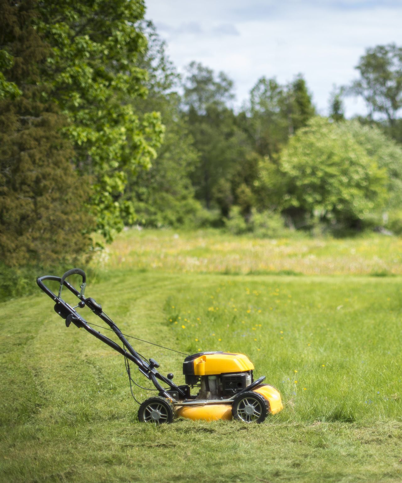 This equipment causes the most common injuries in the garden | Gardeningetc