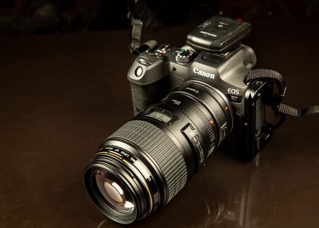10 tips for superb close-ups: how to shoot macro with studio lighting ...