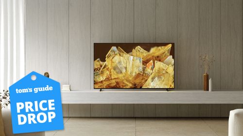I spent a few hours with the world's cheapest OLED TV — what I like ...