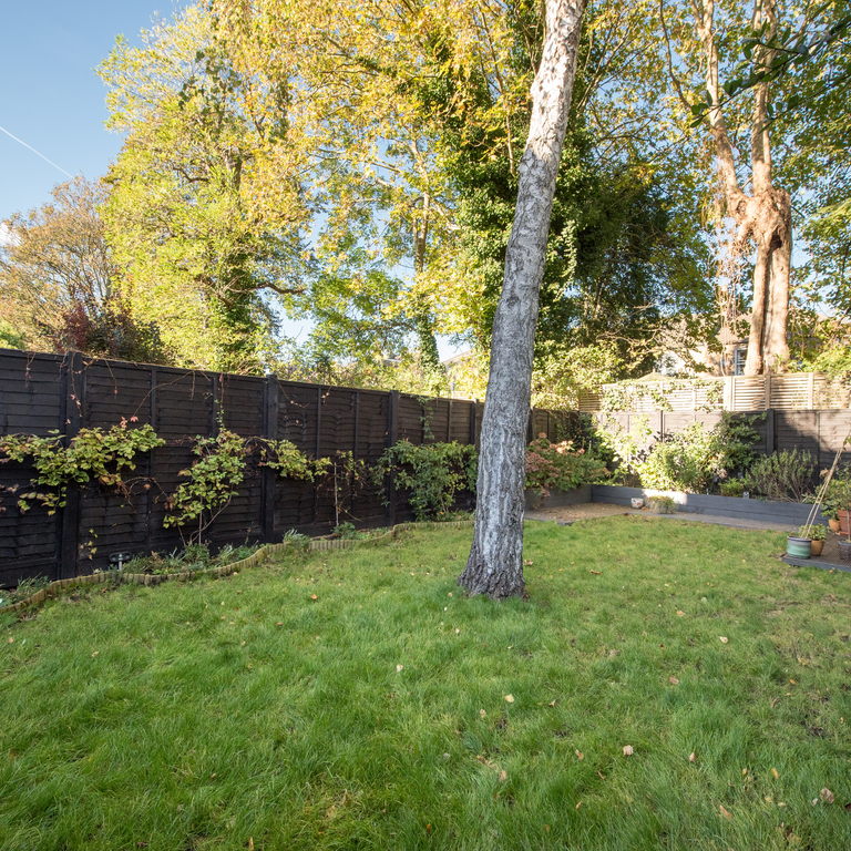 What can you do if a neighbour's tree is blocking your sun? | Ideal Home