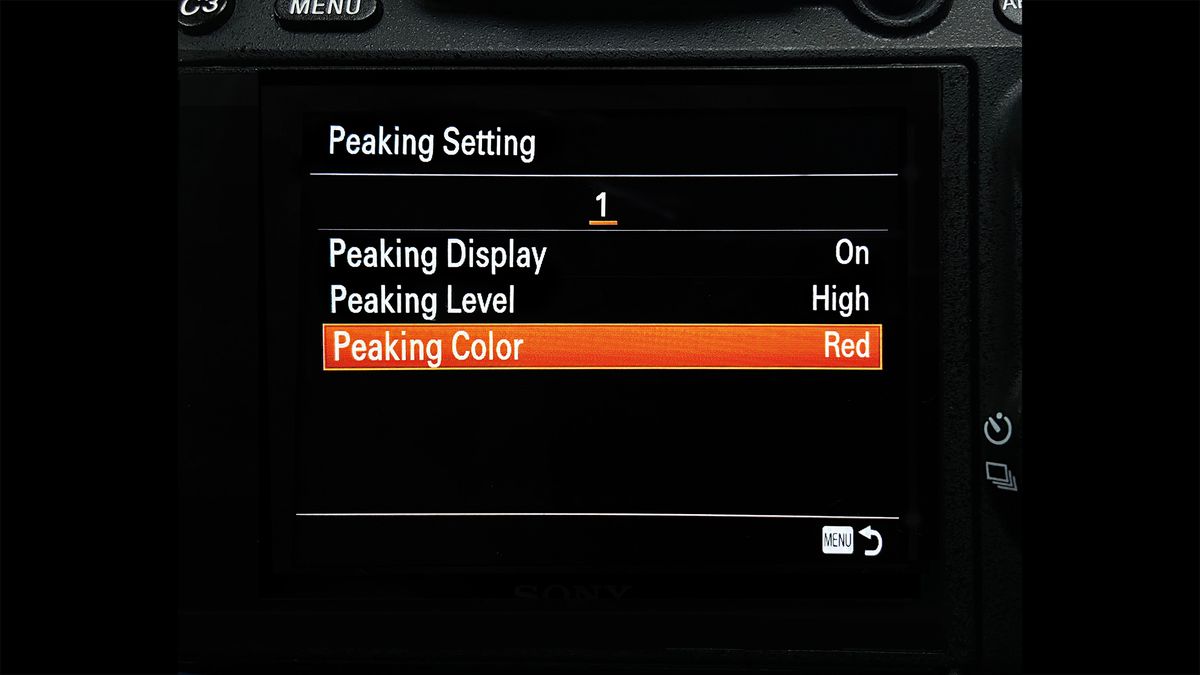 Getting sharper, better-exposed photos starts with your LCD screen ...