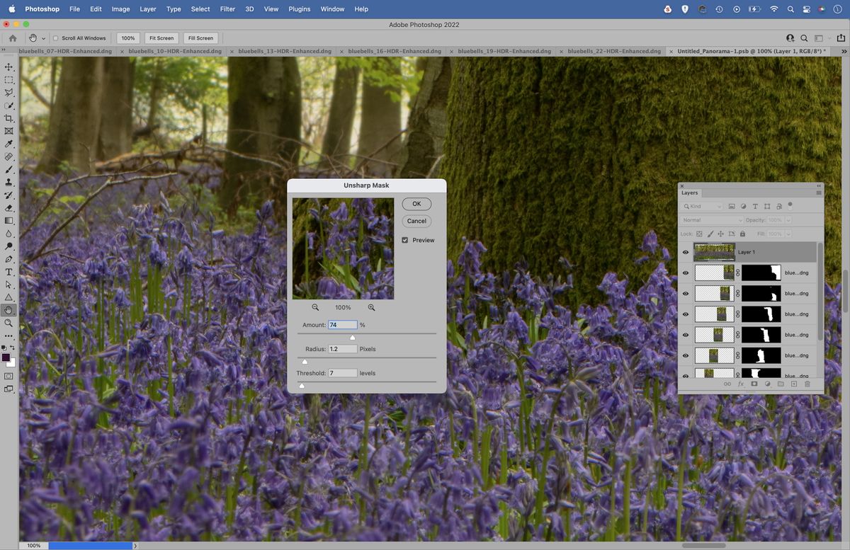 Want a wall-length panorama? Here's how to create jaw-dropping giant ...