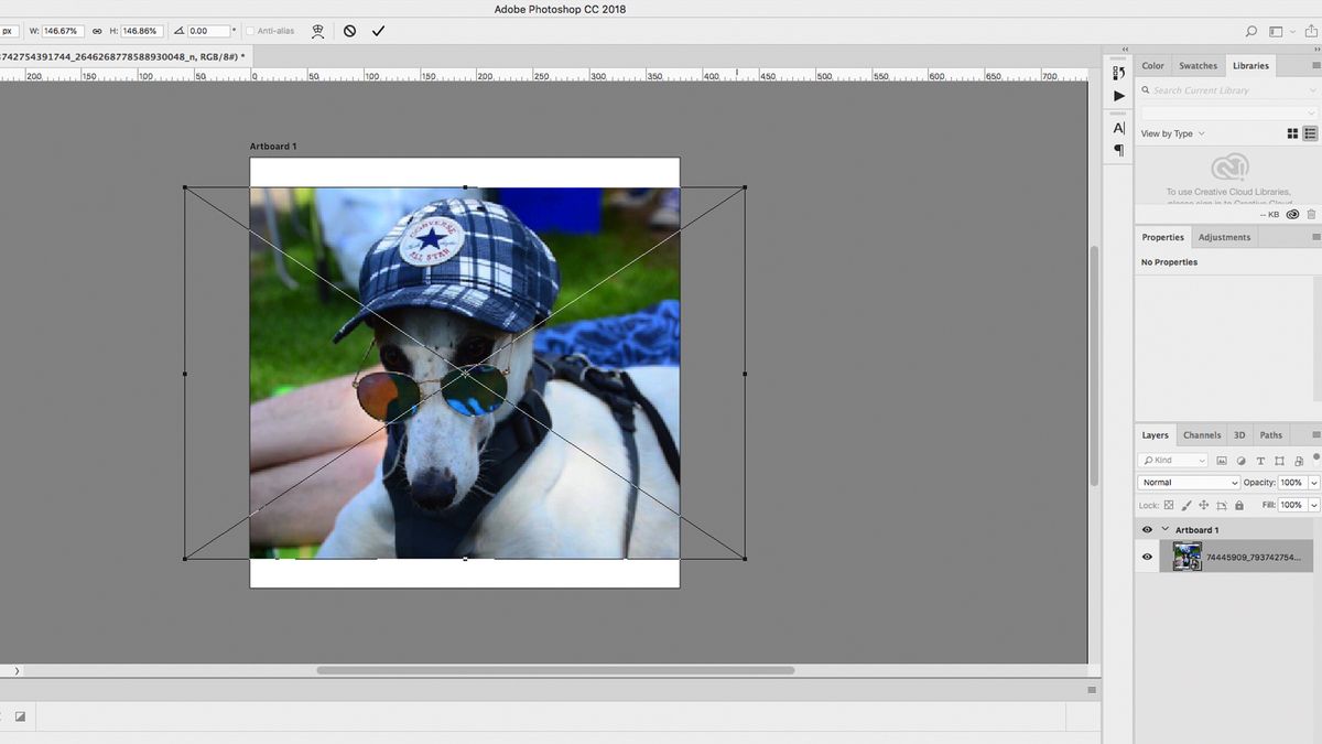 How to make a meme in Photoshop | Creative Bloq