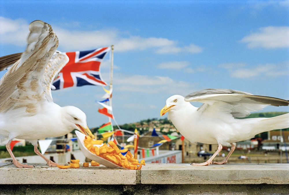 Five quick questions with Martin Parr | Digital Camera World