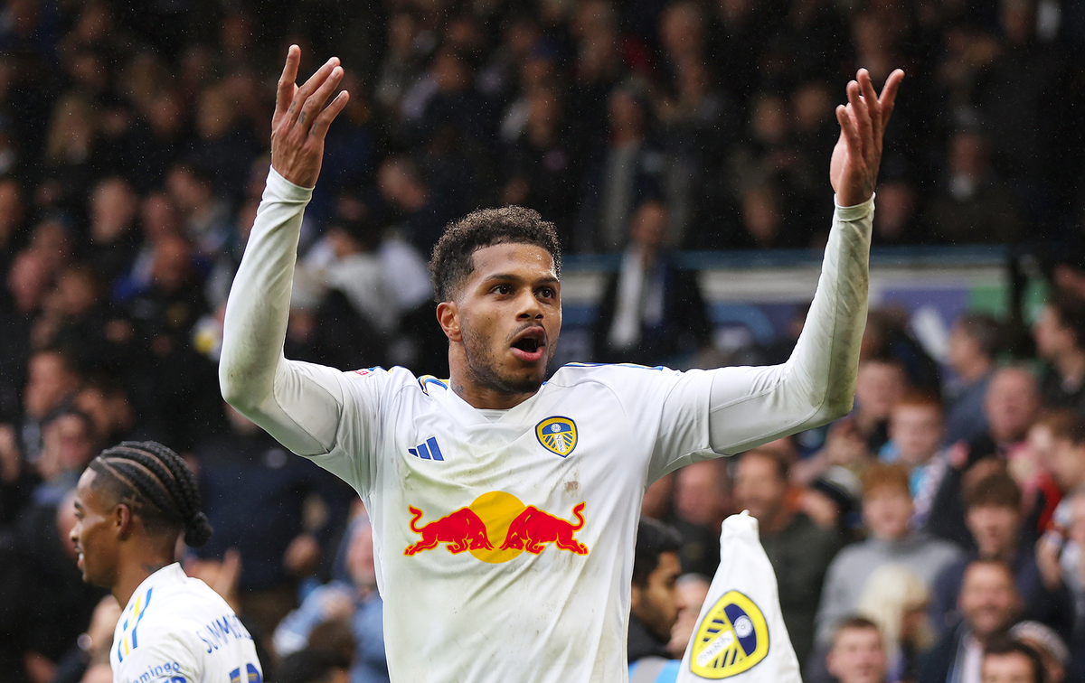 What Leeds United's Red Bull deal means as club confirms partnership ...
