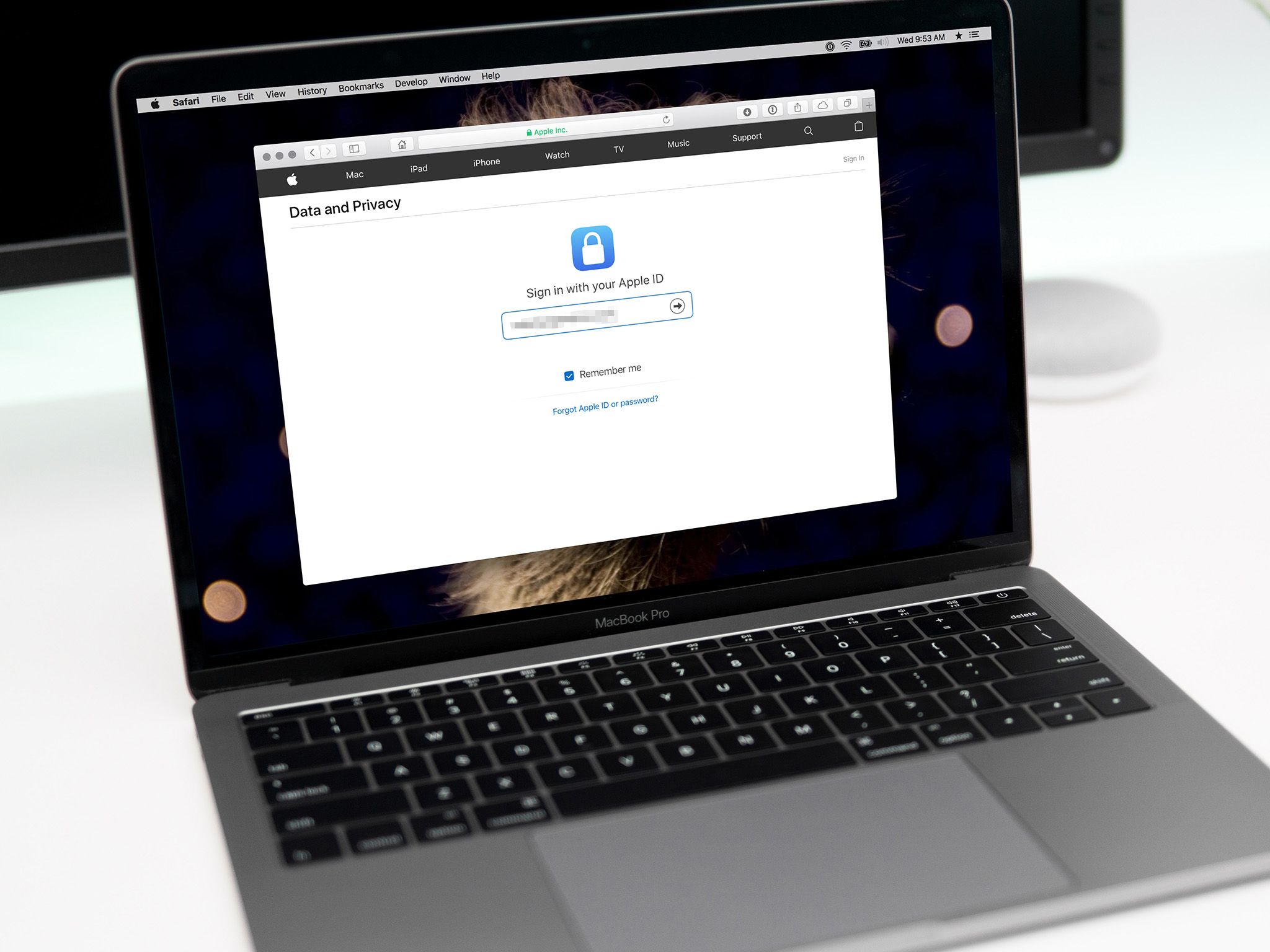 How to use Apple's data and privacy portal | iMore