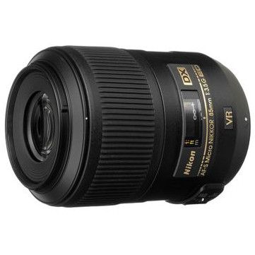 The best macro lenses | Digital Camera World