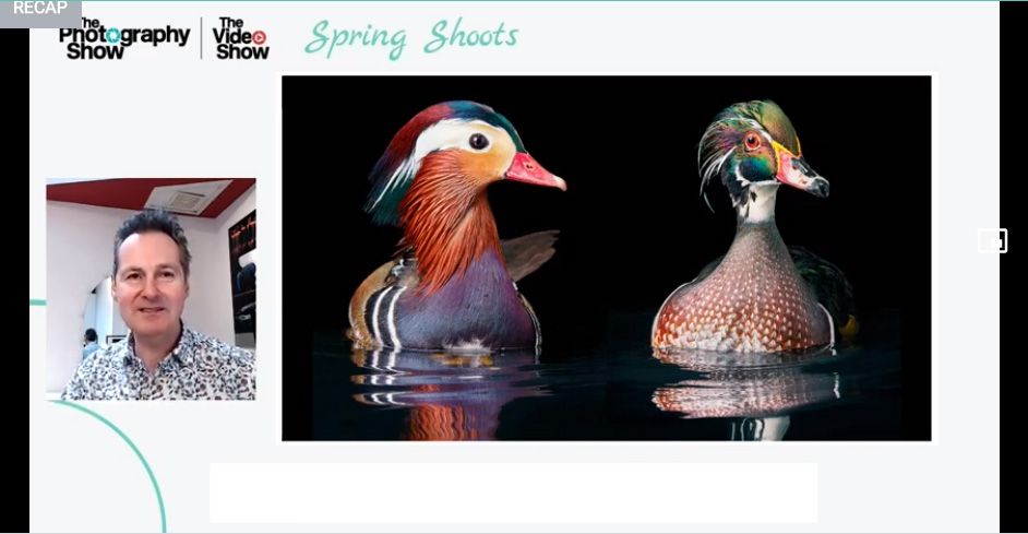 Watch Tim Flach’s Spring Shoots talk – now available on demand ...