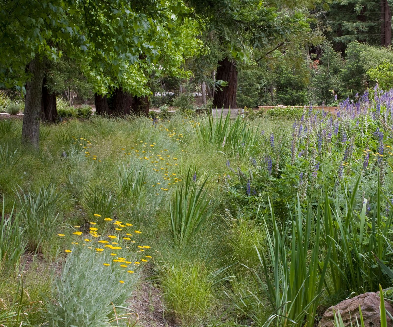 6 French drain alternatives – cheaper fixes for drainage | Homes and ...
