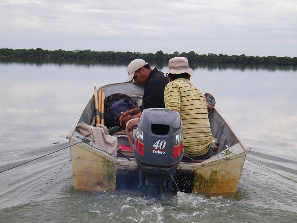 In Photos: Earthworks Scattered Throughout the Amazon | Live Science