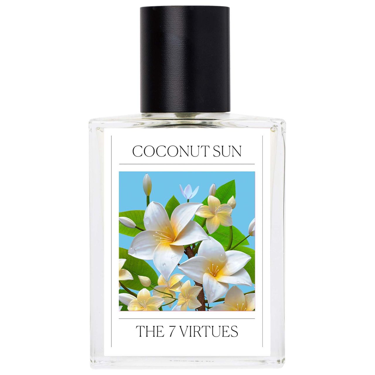 The 13 Best Coconut Perfumes, Tested by Editors | Marie Claire