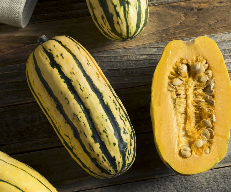 How to grow delicata squash - tips from an expert grower | Homes and ...