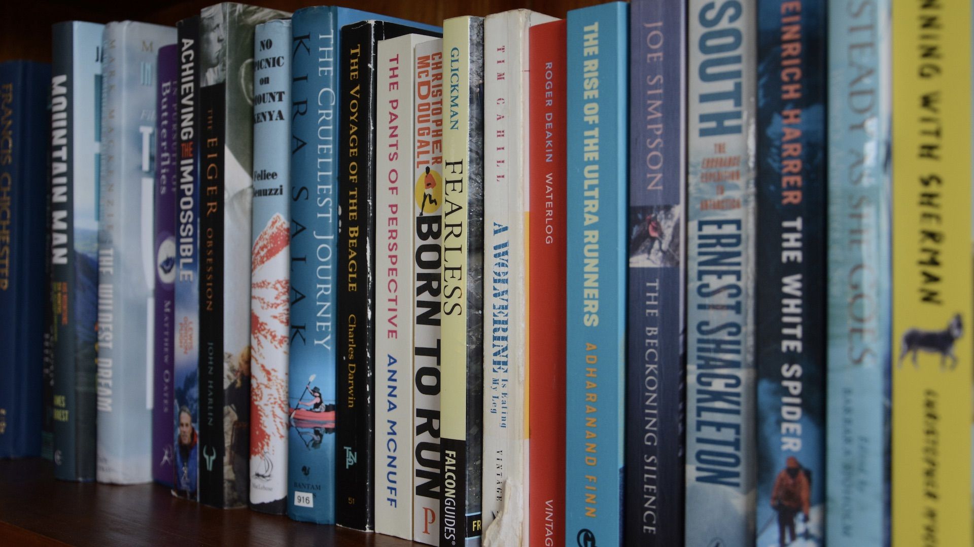 The best adventure books – as chosen by our expert panel | Advnture