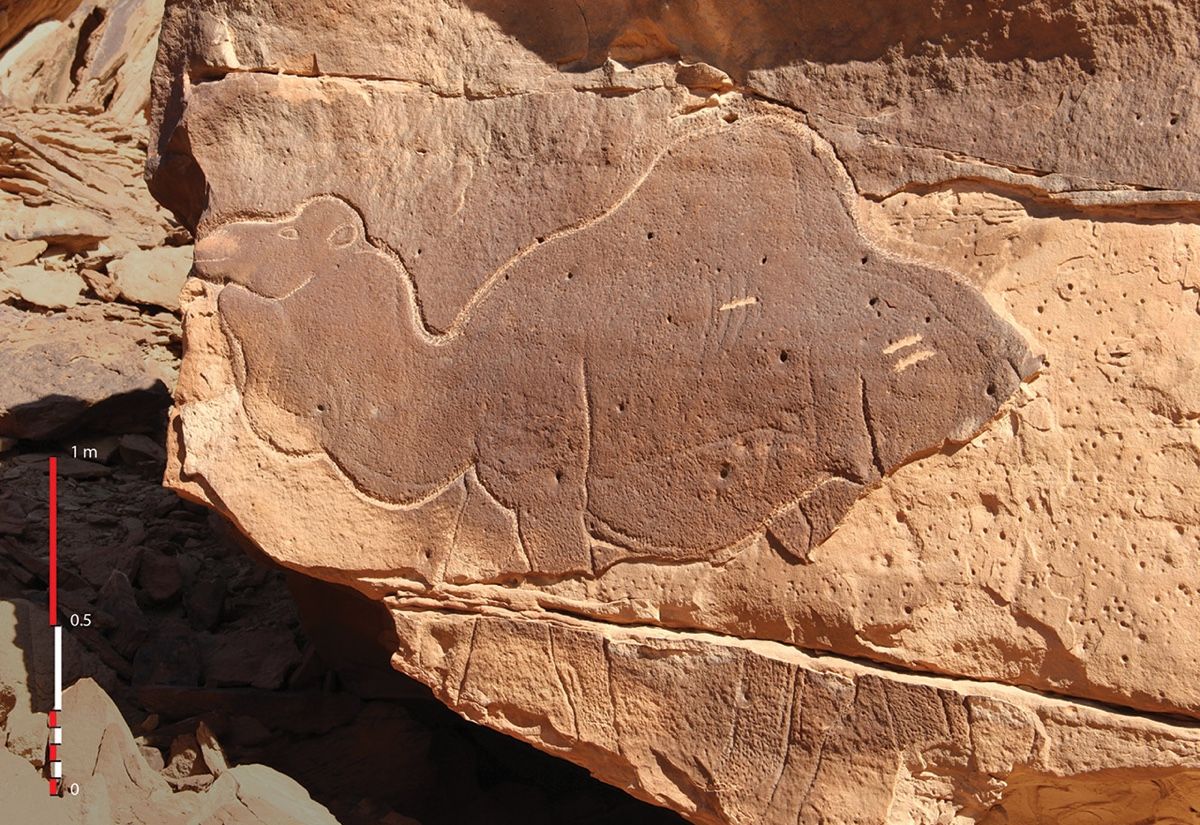 Who Created These Strange, Ancient Sculptures Hidden in the Saudi ...