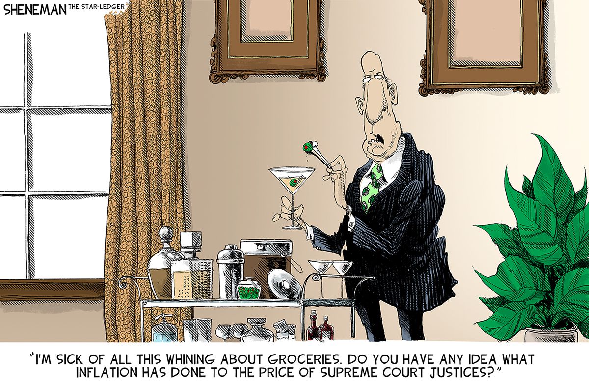 Cartoons: News, analysis and opinion | The Week