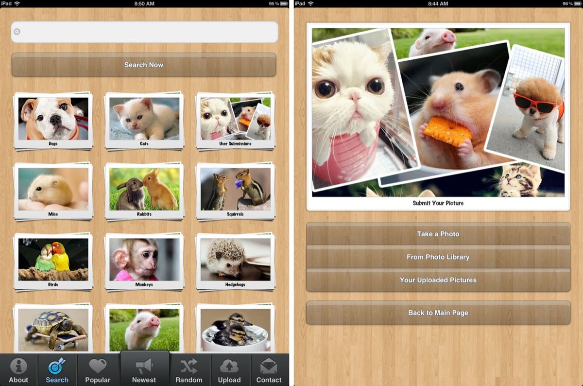 Cutest Paw for iPhone and iPad review: thousands of adorable animal ...