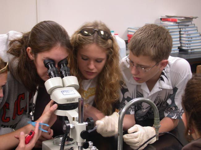 Top 5 Myths About Girls, Math and Science | Live Science